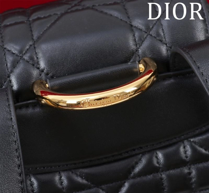 Precise copy Christian Dior Backpacks
