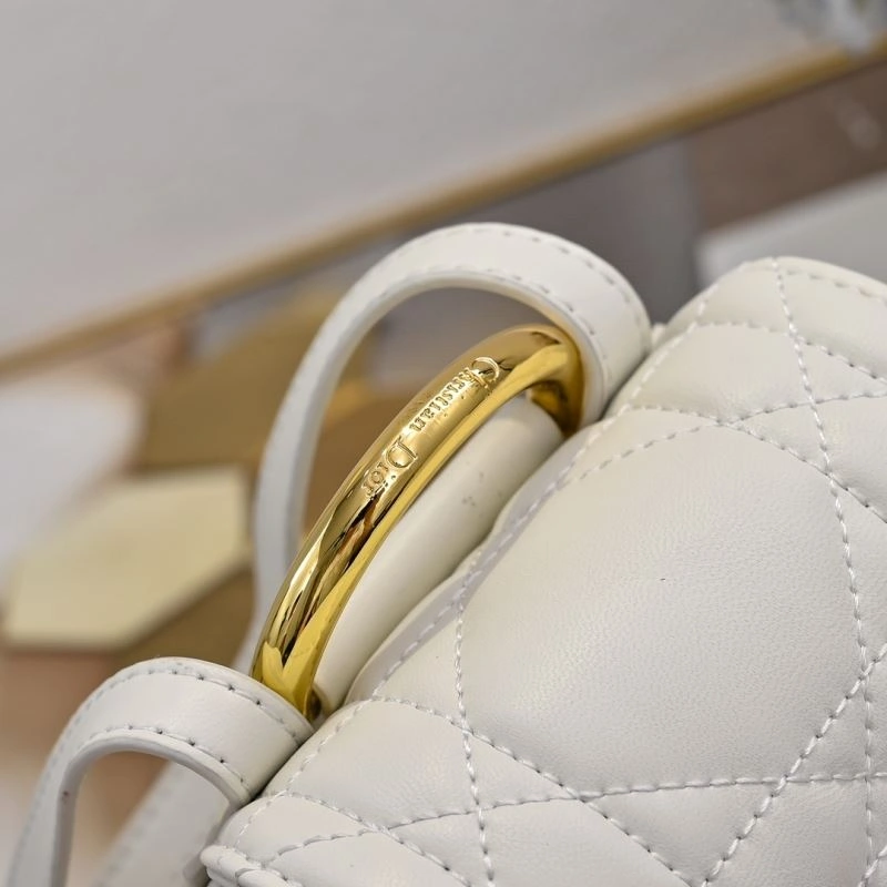 High accuracy Christian Dior Backpacks
