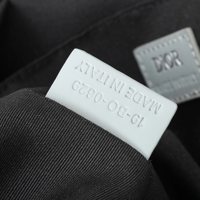High accuracy Christian Dior Backpacks