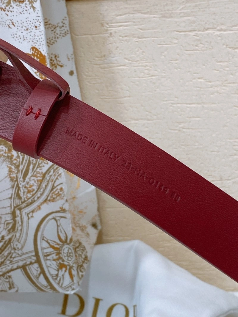 Budget-friendly Christian Dior Belts