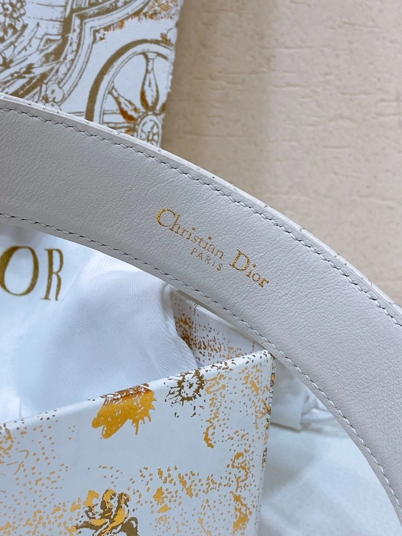 Accurate model Christian Dior Belts