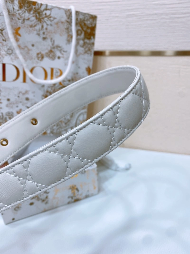 Accurate model Christian Dior Belts
