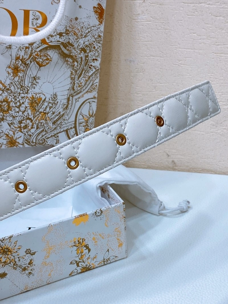 Accurate model Christian Dior Belts
