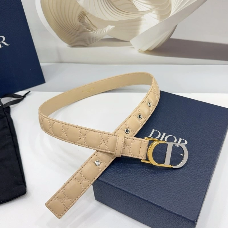 Indistinguishable Christian Dior Belts