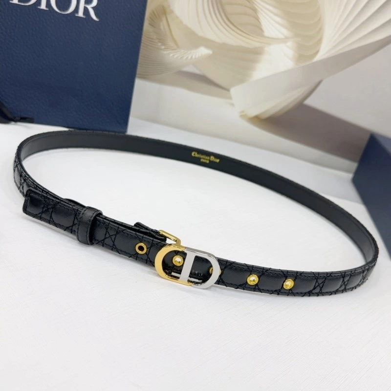 Low-cost Christian Dior Belts