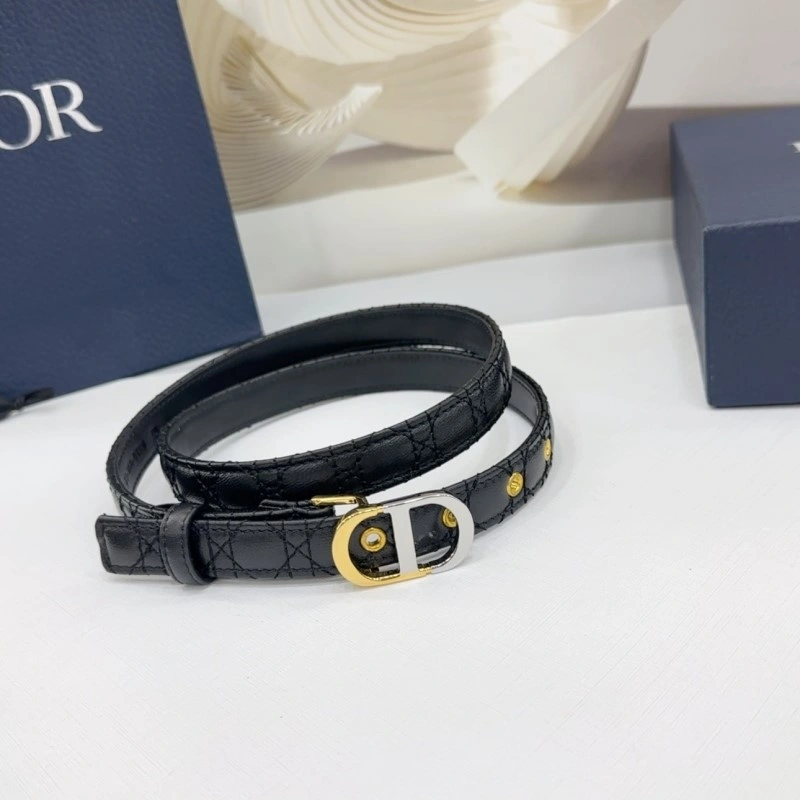 Low-cost Christian Dior Belts