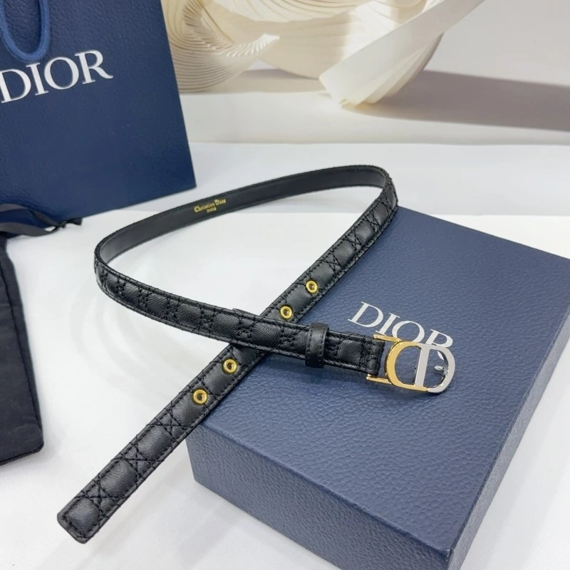 Low-cost Christian Dior Belts