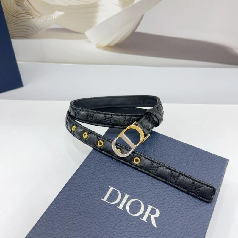 Low-cost Christian Dior Belts