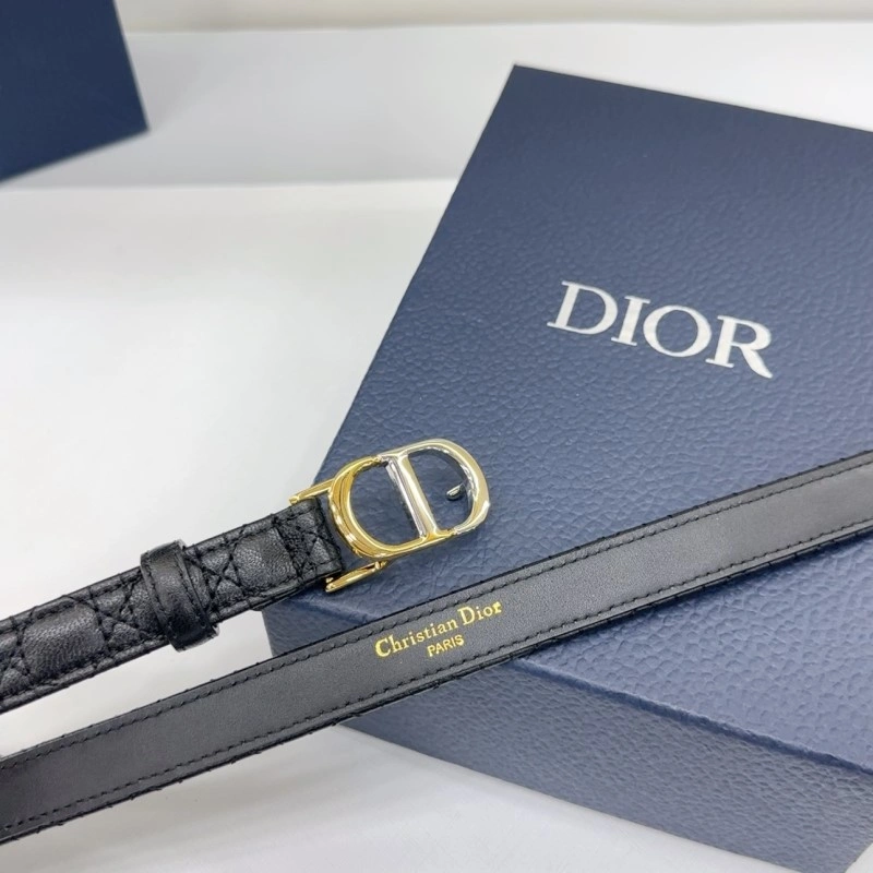 Low-cost Christian Dior Belts