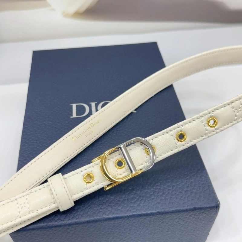 Accurate model Christian Dior Belts