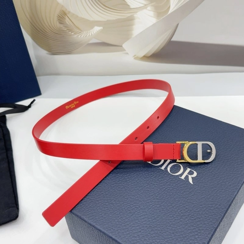 Budget-friendly Christian Dior Belts