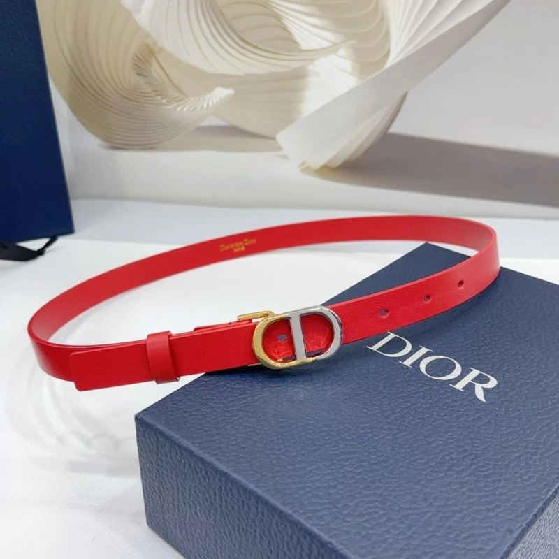 Budget-friendly Christian Dior Belts