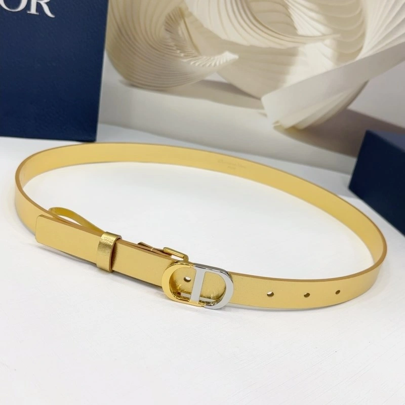 Reasonably priced Christian Dior Belts