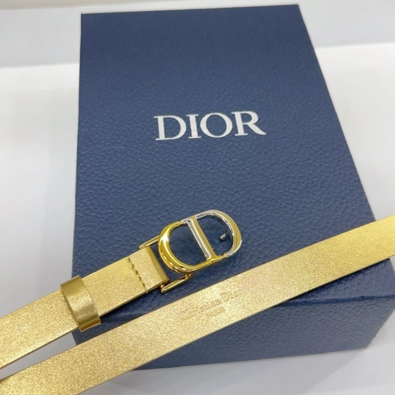 Reasonably priced Christian Dior Belts