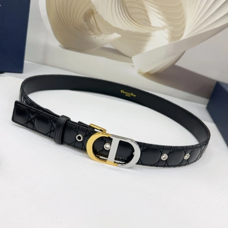 Top mirror Christian Dior Belts