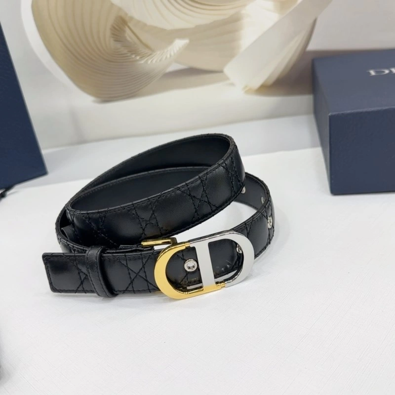 Top mirror Christian Dior Belts