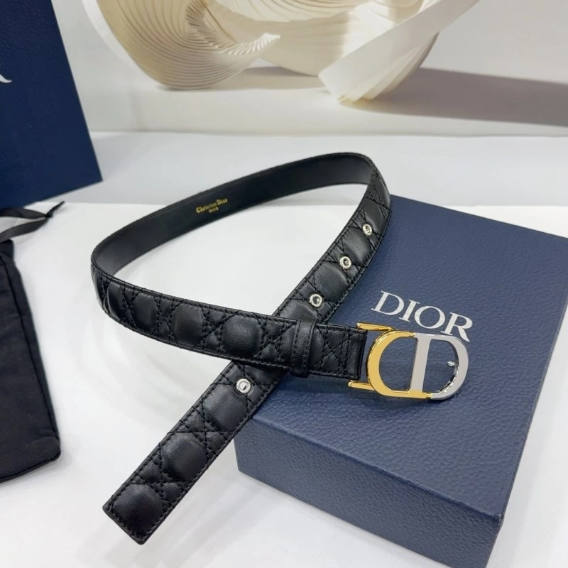 Top mirror Christian Dior Belts