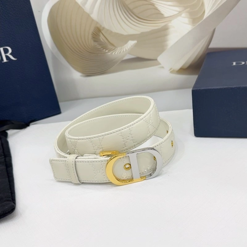 Accurate model Christian Dior Belts