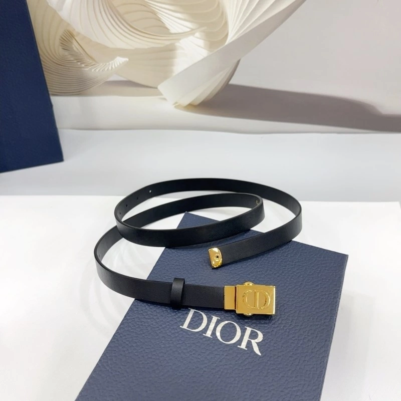 Inexpensive Christian Dior Belts
