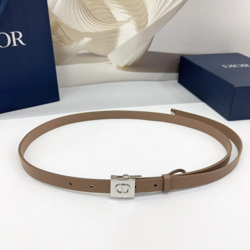 Low-cost Christian Dior Belts
