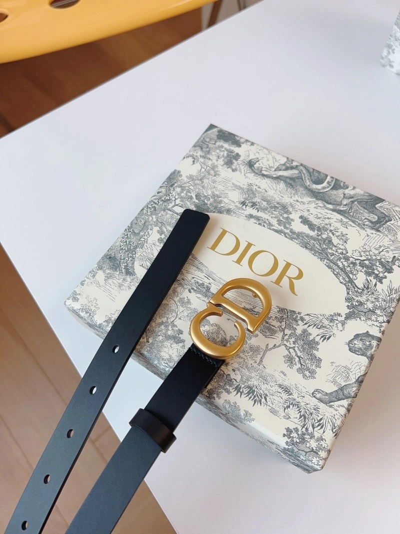 Affordable Christian Dior Belts