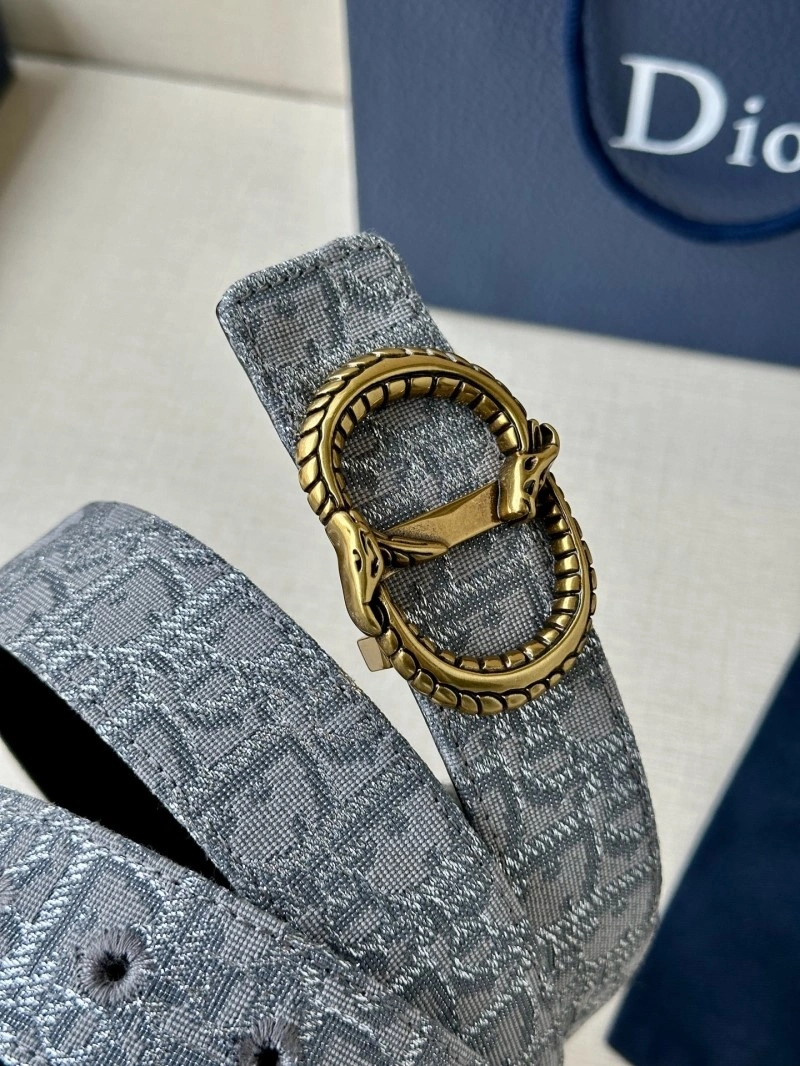 Low-cost Christian Dior Belts
