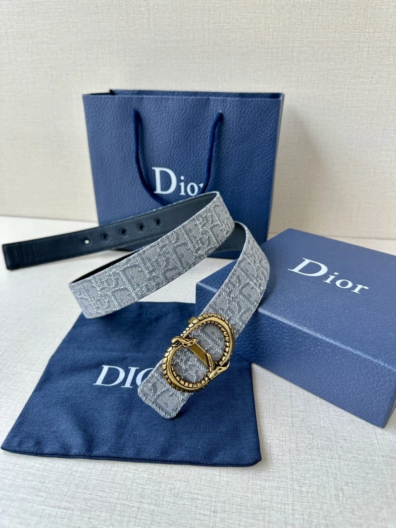 Low-cost Christian Dior Belts