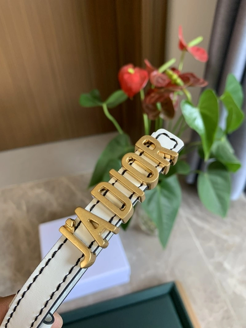Brand-original Christian Dior Belts