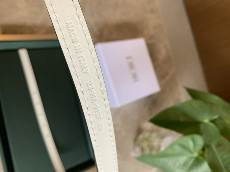 Brand-original Christian Dior Belts