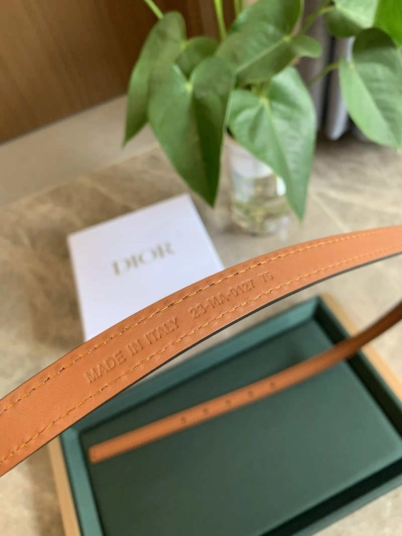 Perfect replica Christian Dior Belts
