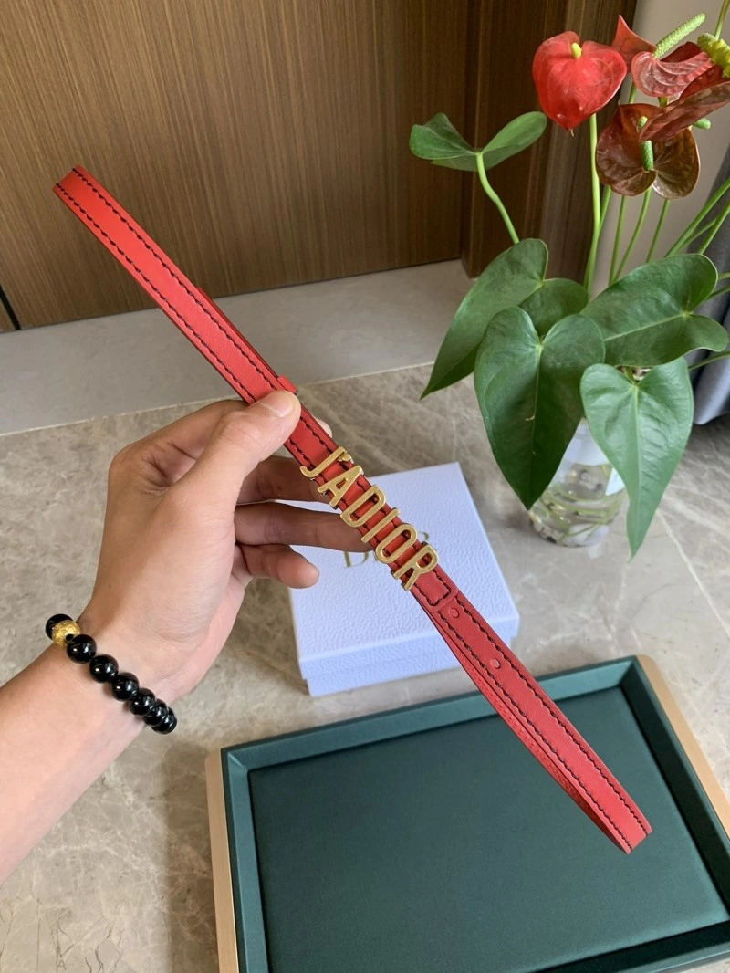 Accurate model Christian Dior Belts
