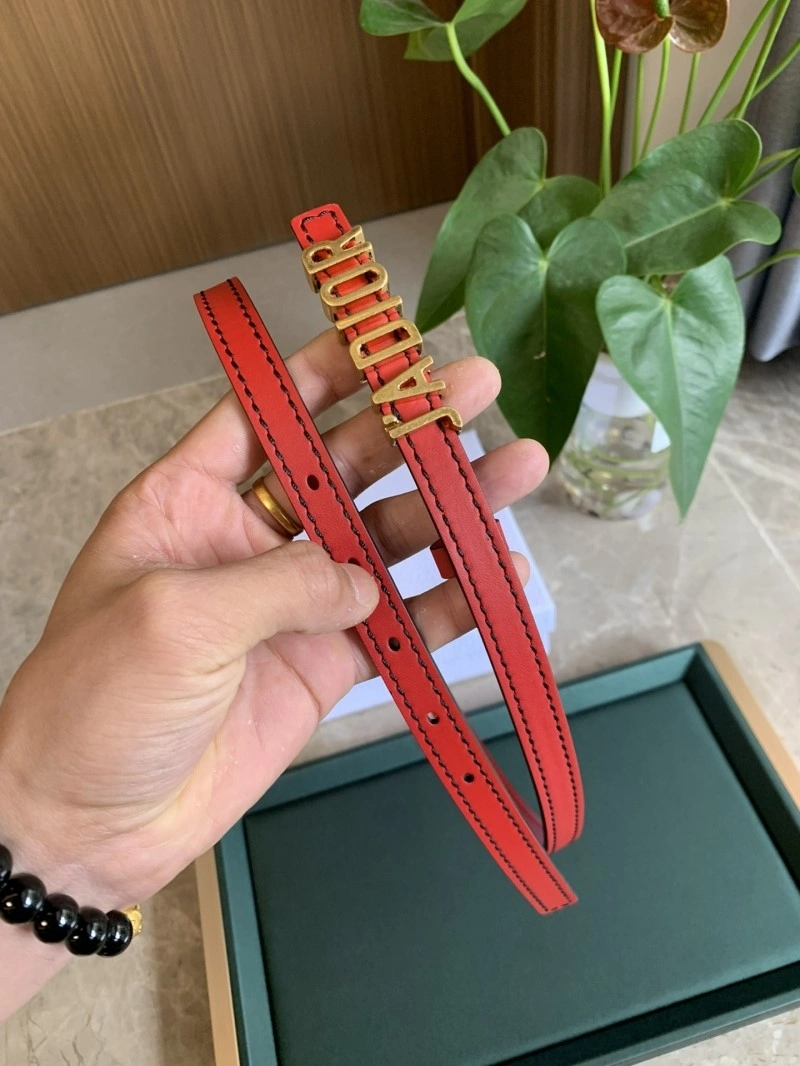 Accurate model Christian Dior Belts
