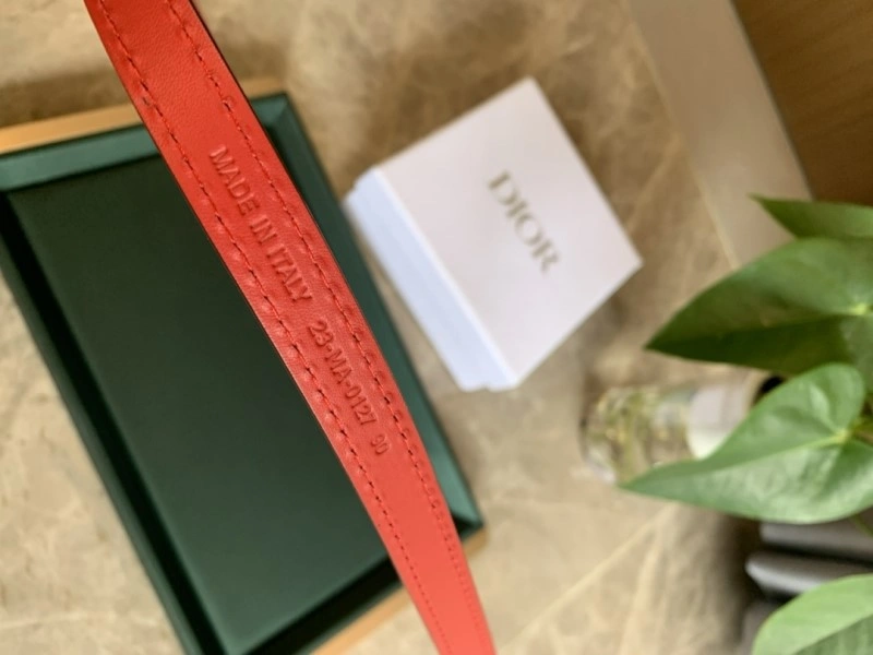 Accurate model Christian Dior Belts