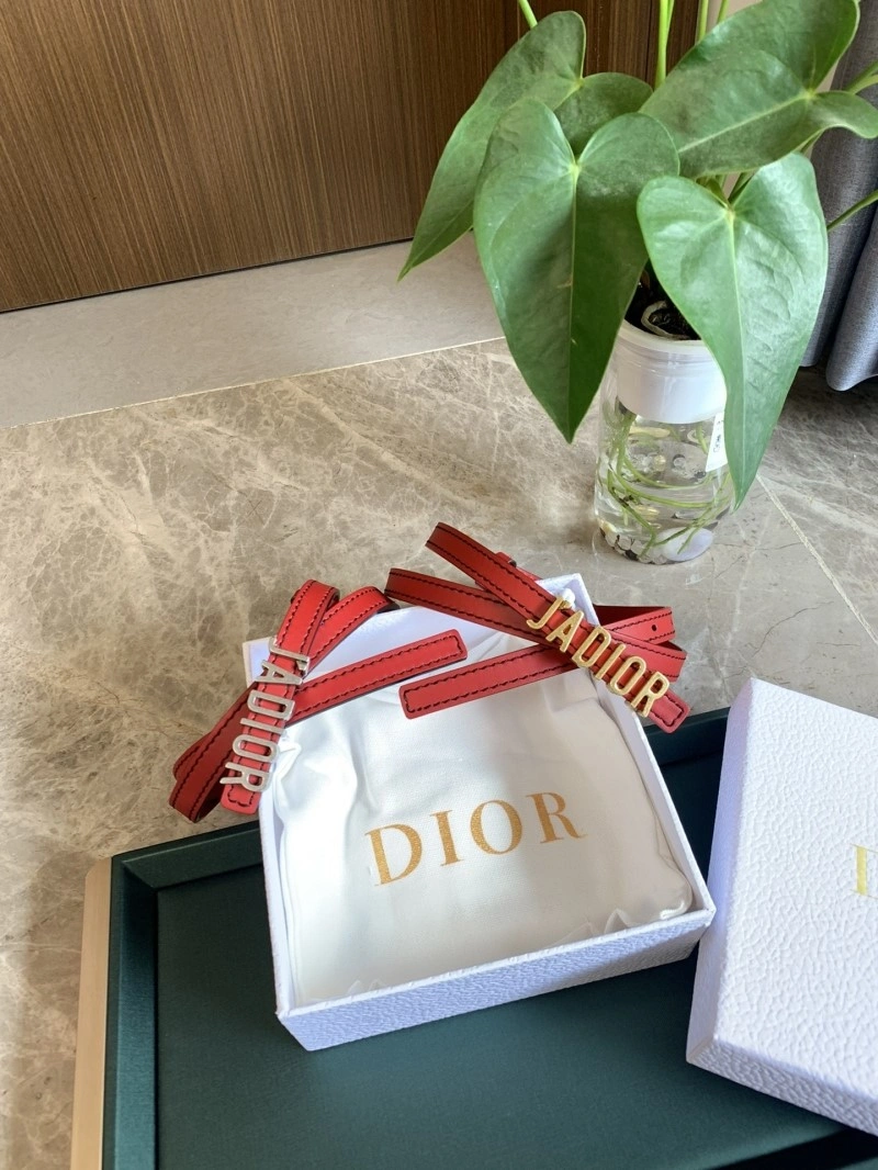 Accurate model Christian Dior Belts