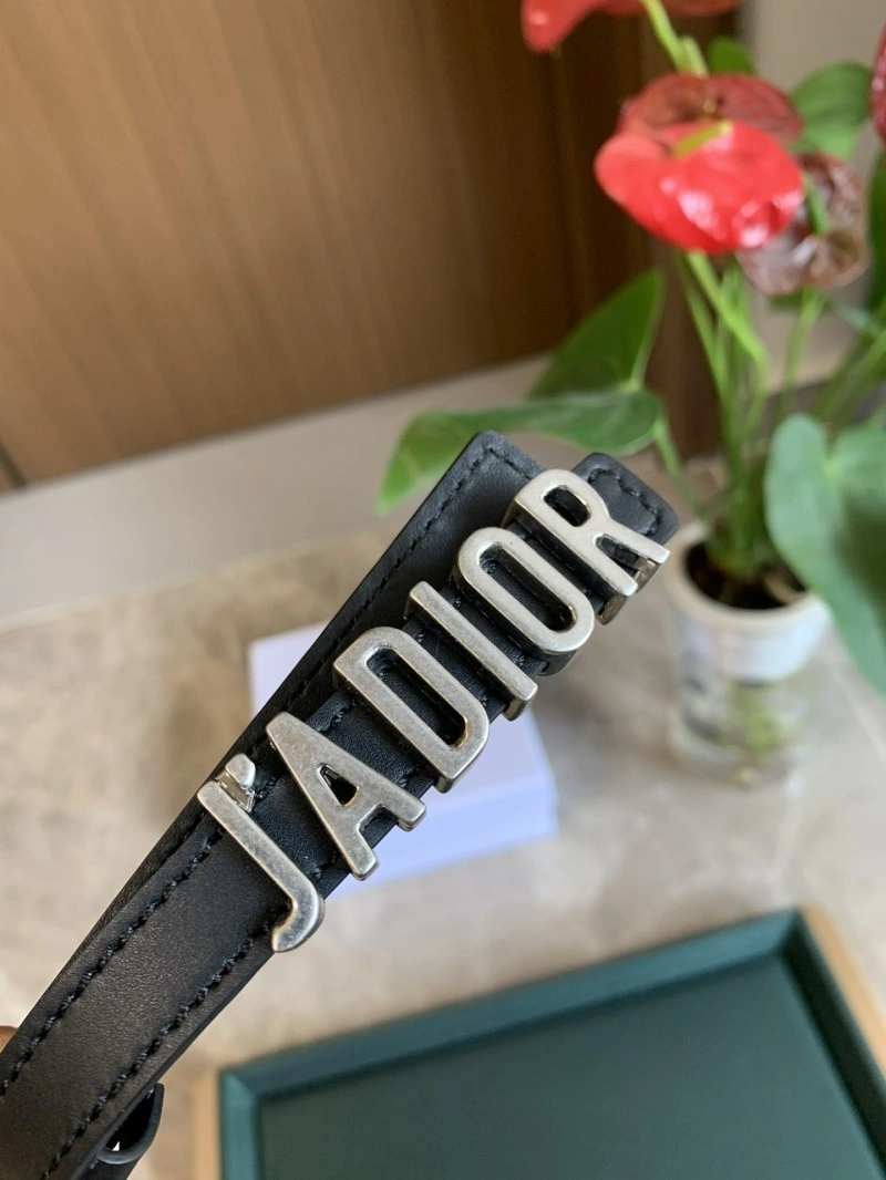 Indistinguishable Christian Dior Belts