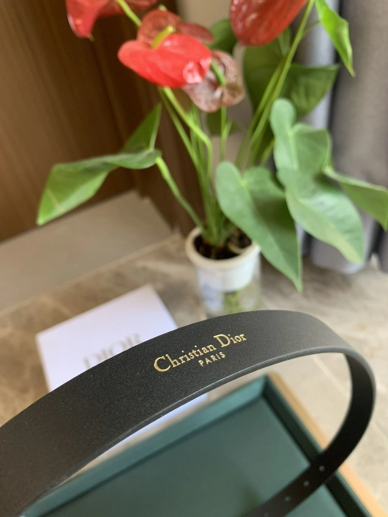 High accuracy Christian Dior Belts