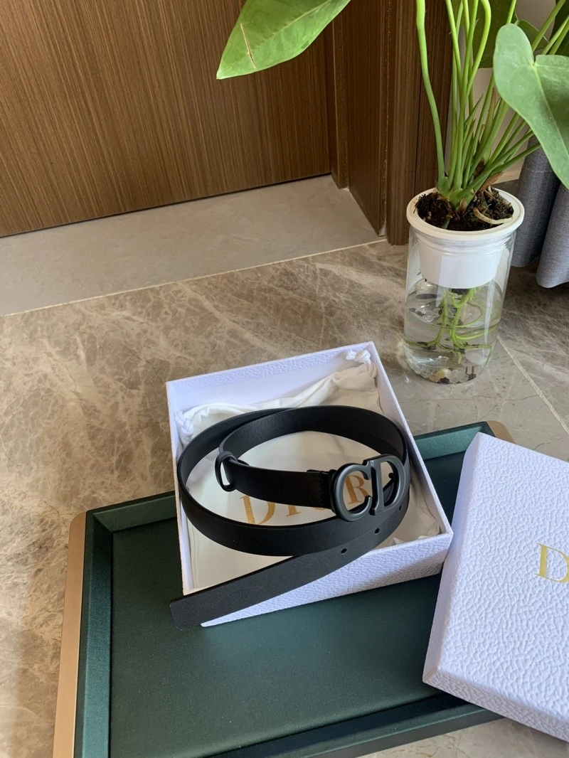High accuracy Christian Dior Belts