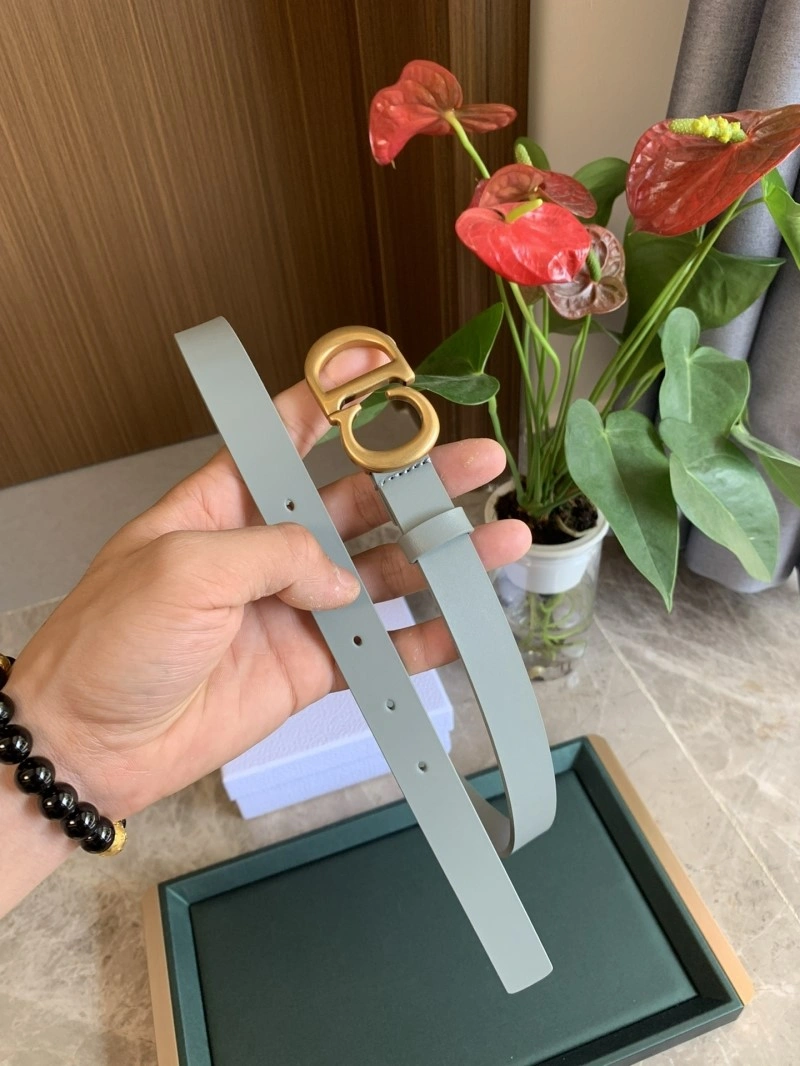 Legit Christian Dior Belts