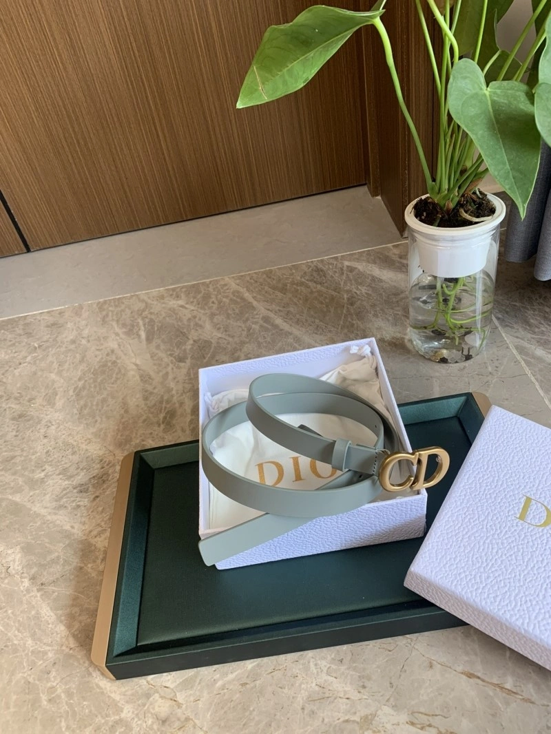 Legit Christian Dior Belts