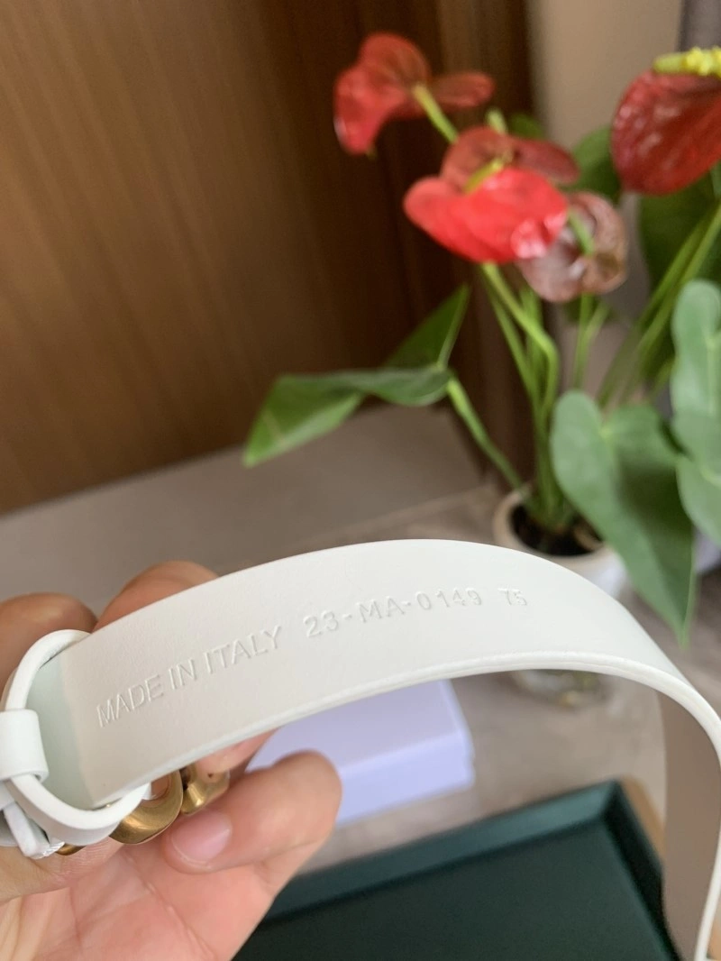 1:1 copy Christian Dior Belts