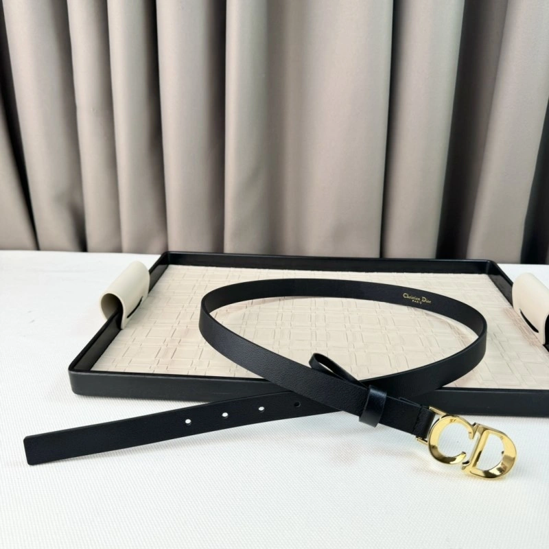 Mirror quality Christian Dior Belts