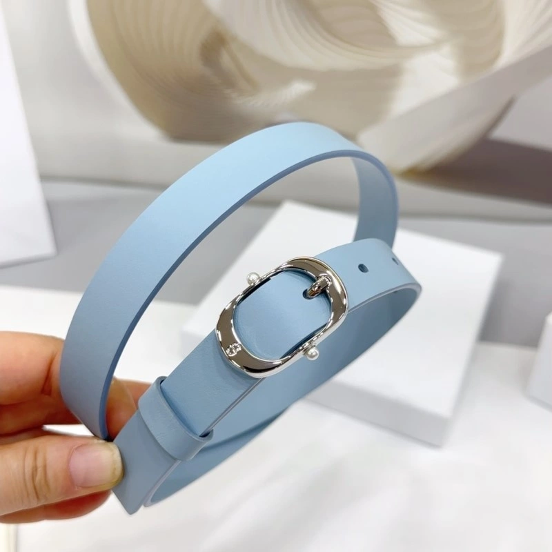 Mirror quality Christian Dior Belts