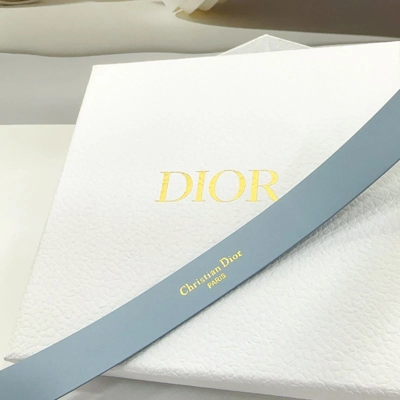 Mirror quality Christian Dior Belts