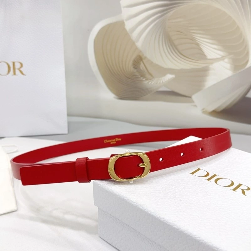 Affordable Christian Dior Belts