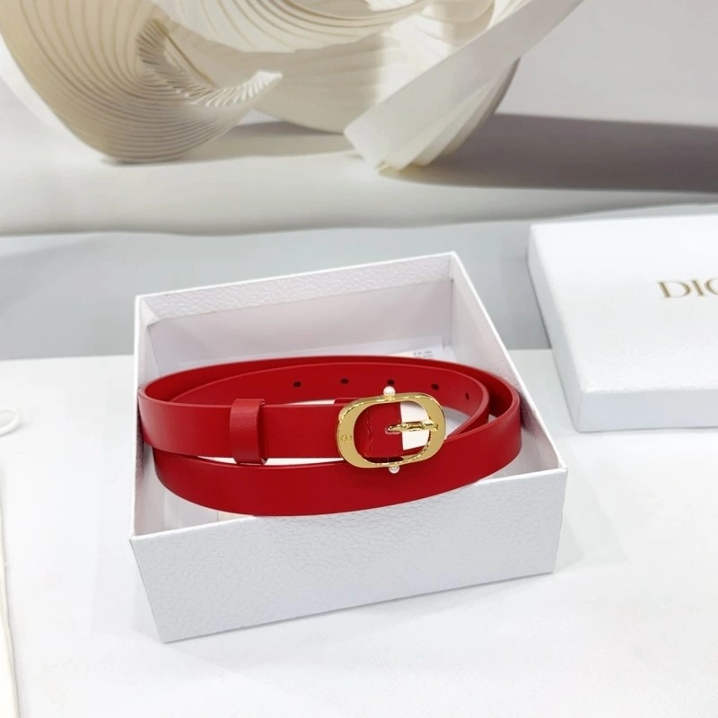 Affordable Christian Dior Belts