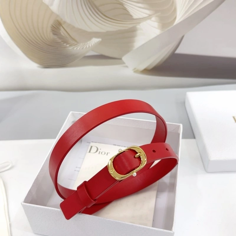 Affordable Christian Dior Belts