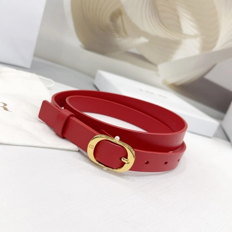 Affordable Christian Dior Belts