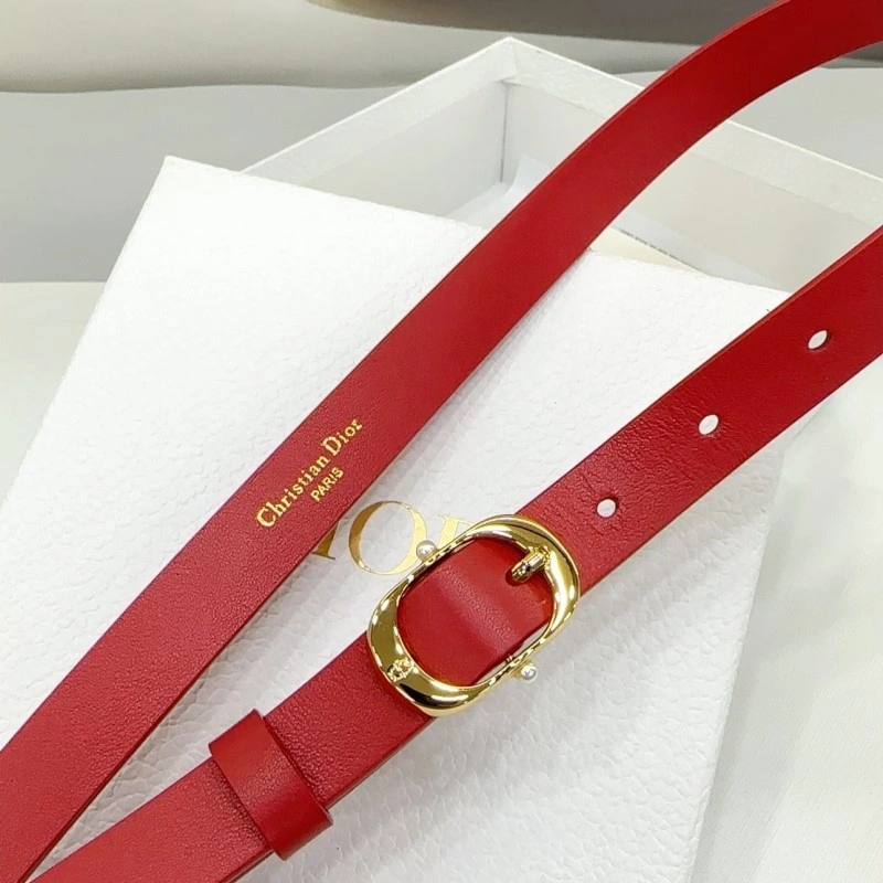 Affordable Christian Dior Belts