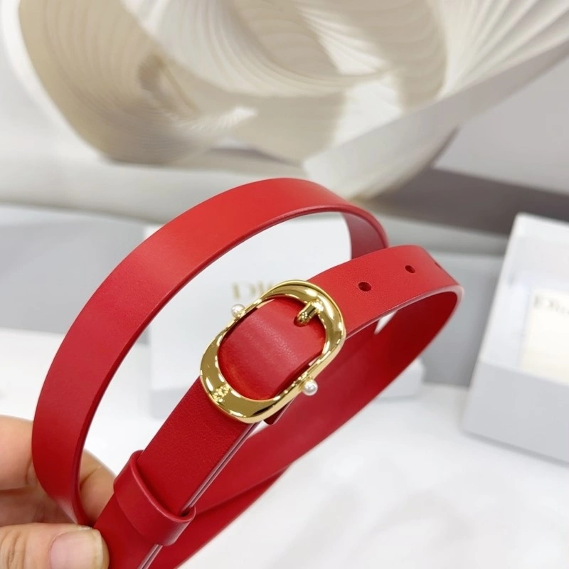 Affordable Christian Dior Belts