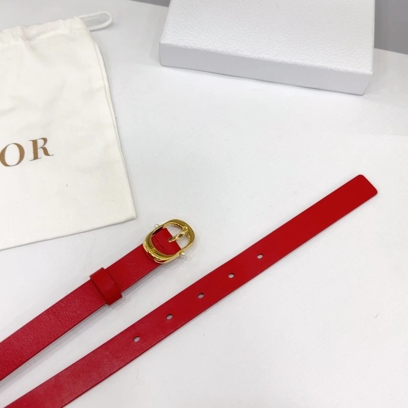 Affordable Christian Dior Belts